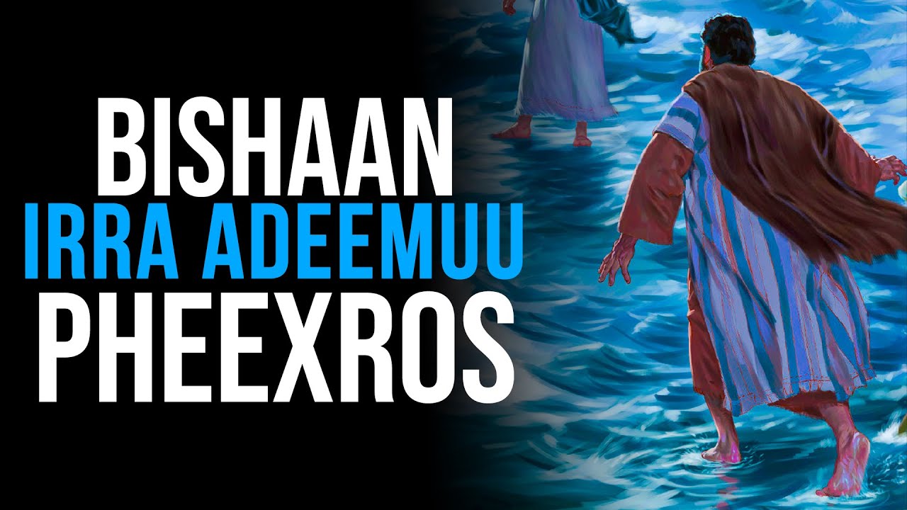 Bishaan Irra Adeemuu Pheexros Irraa Maal Baranna? - YouTube