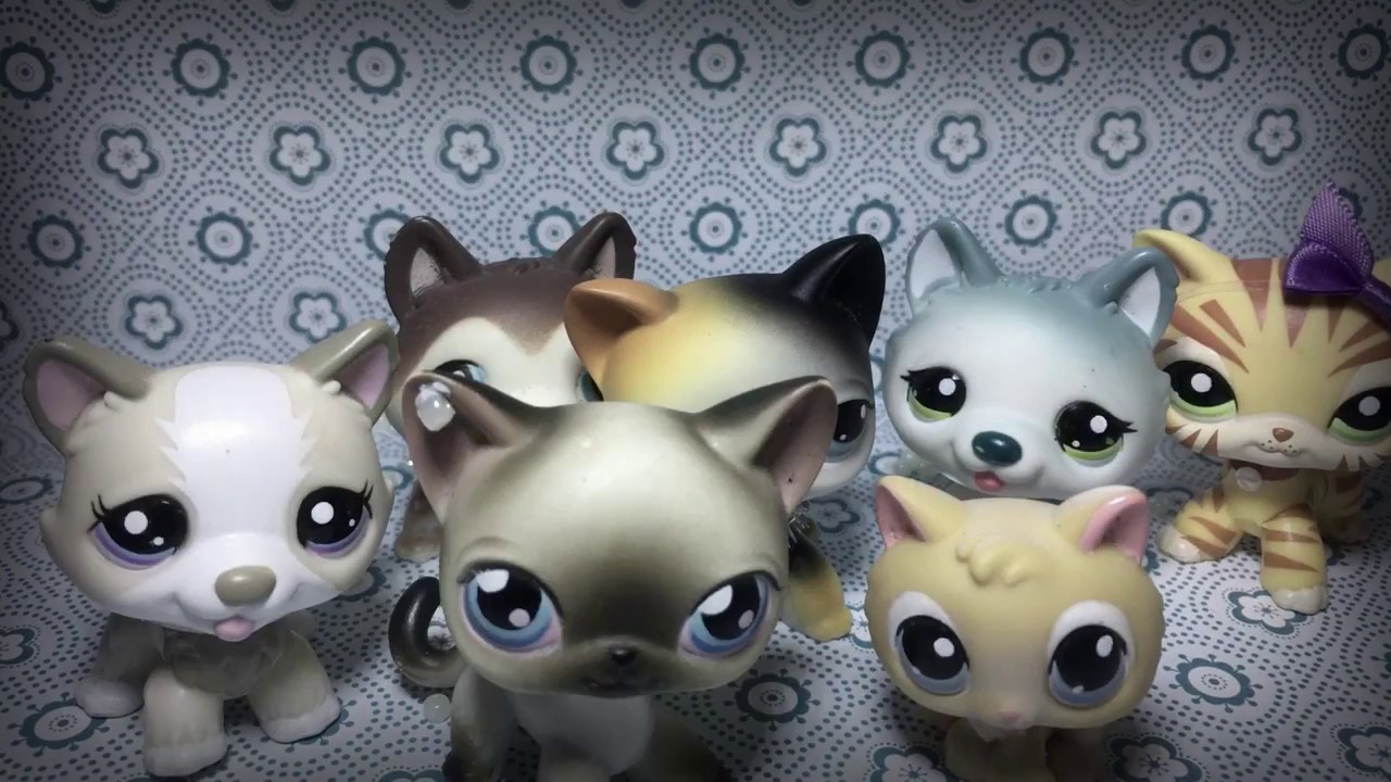 LPS-Castle on the Hill-Music video - YouTube