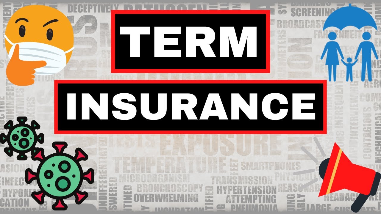 Term Insurance (2021) | A to Z | Importance and Benefits | Animated ...