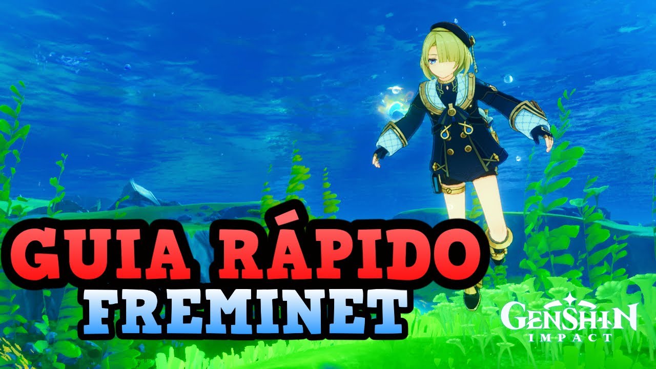 GUIA RÁPIDO E PRÁTICO DO FREMINET - YouTube