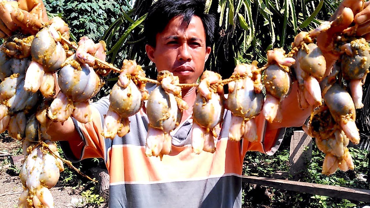 Cooking Food with FROG in My Village | Kong Keb Bok | Life of Natural ...
