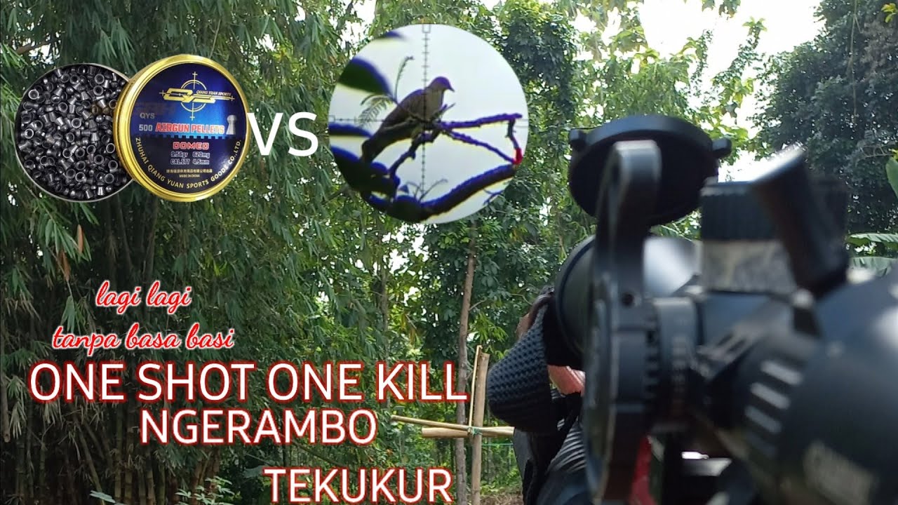 @asepsniperamatir6005 BERBURU TEKUKUR - YouTube