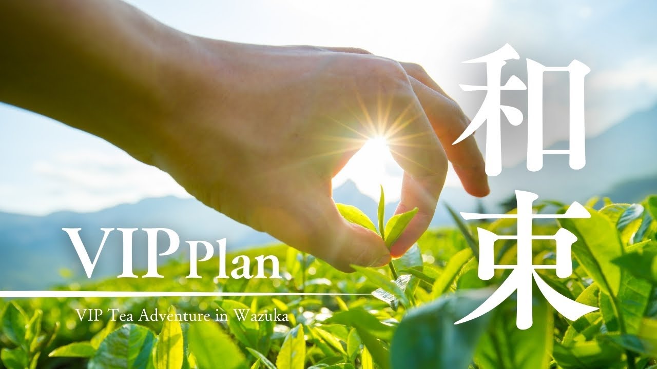 VIP Tea Adventure in Wazuka - YouTube