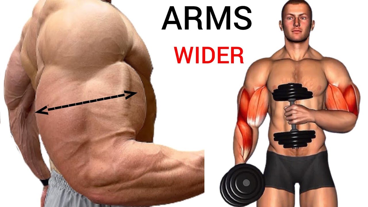 workout for wider arms gains to build quickly - YouTube