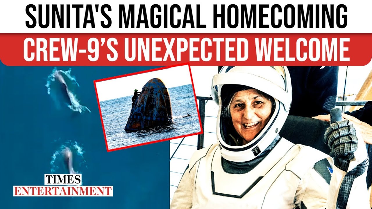 Dolphins Welcome Sunita Williams After SpaceX Splashdown | NASA Mission ...
