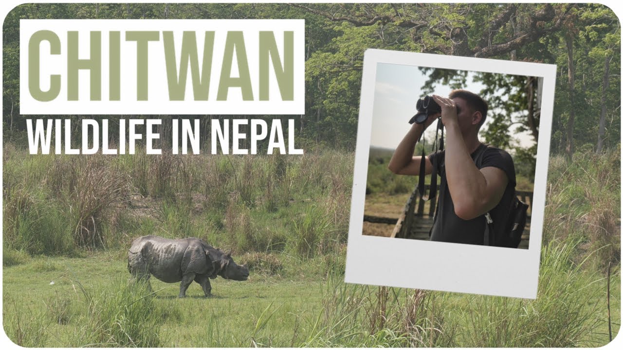 DAS hätten wir in NEPAL nicht erwartet! • CHITWAN NATIONALPARK 4K | Weltreise Vlog #51 - YouTube