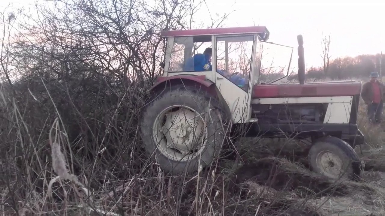 Ścinanie drzew & wyrywanie korzeni na ugorze - Case 1046 International ...