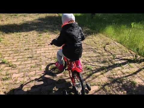 Küçük maymun eloş piknikte