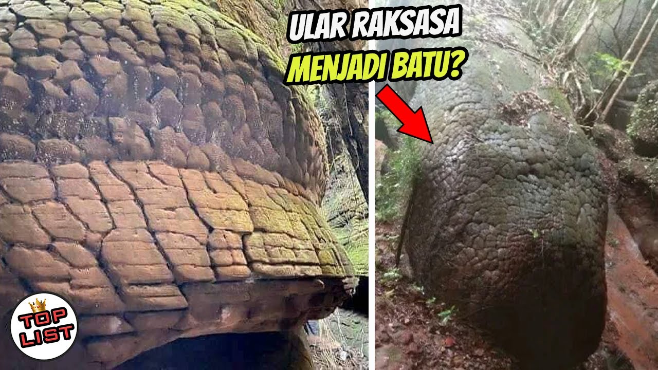 Beginilah Penampakan Formasi Batu Gua Ular Raksasa Yang di Temukan di ...