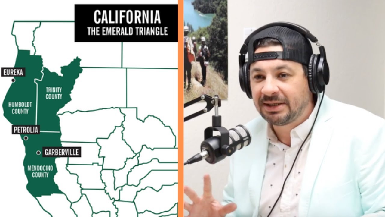 The History of Cannabis in the Emerald Triangle - YouTube