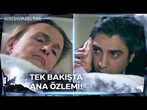 Polat, Nazife Ana İçin Geri Dönüyor! | Kurtlar Vadisi Pusu 209. Bölüm