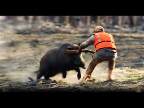 Top 10 Wild Boar Attacks Caught on Camera — Real and Intense! 🐗💥 - YouTube