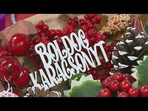Buda Tv - Összefogás a sérült gyermekekért