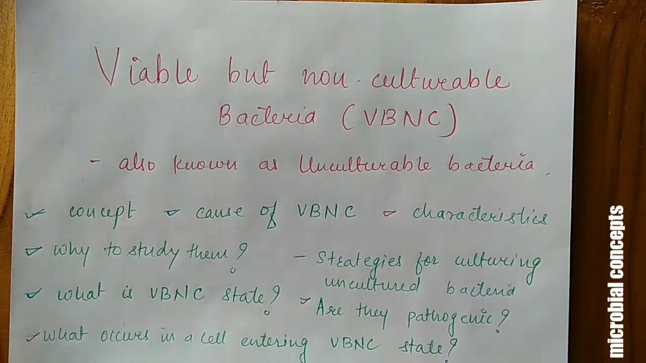(2)VBNC bacteria (learn more) #what are VBNC? |Viable but nonculturable ...