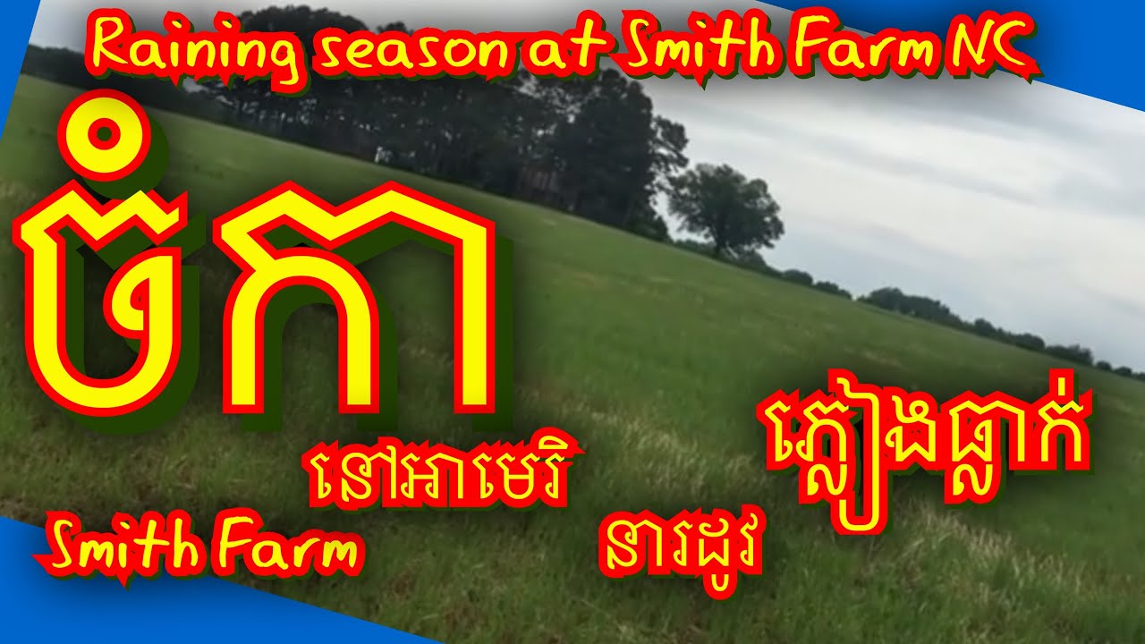 ចំការ Smith Farm នៅភូមិ Stalling រដ្ឋ North Carolina ទិដ្ឋភាពរដូវភ្លៀង ...