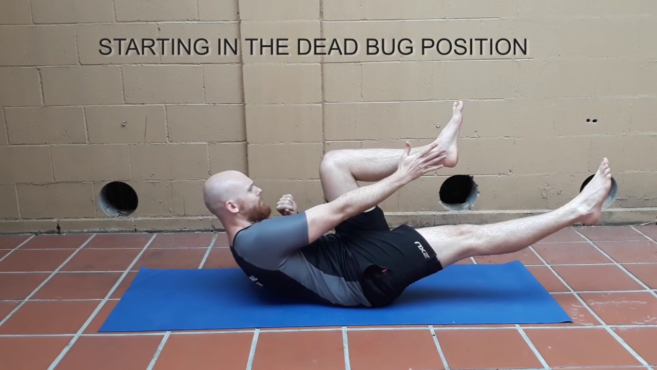 How To Perform Dead-bug Reach - Exercise Tutorial - YouTube