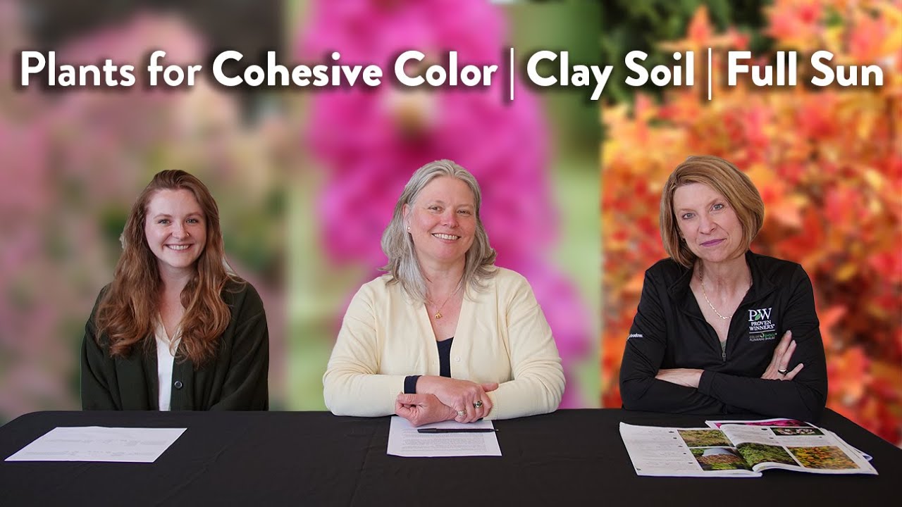 Plant Picks - Recommending Plants | Cohesive Color | Full Sun | Plants ...
