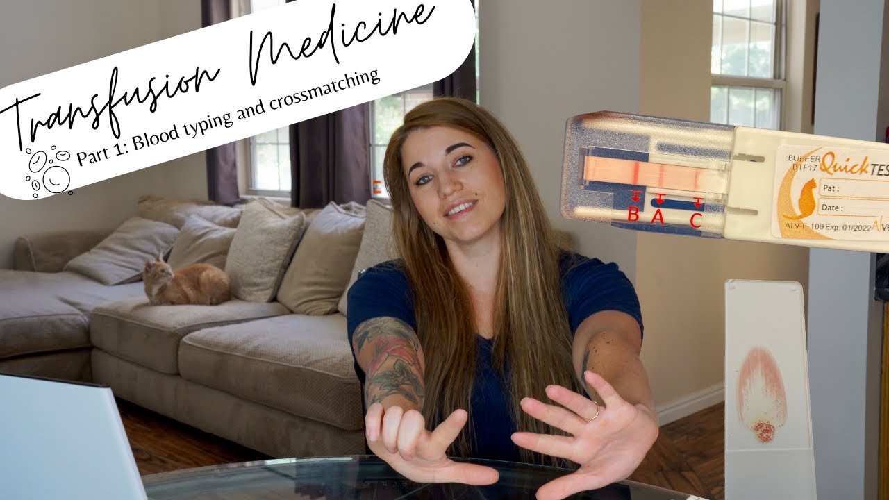 Vet Med Transfusion Medicine: Part 1 Blood Types and How To Crossmatch ...