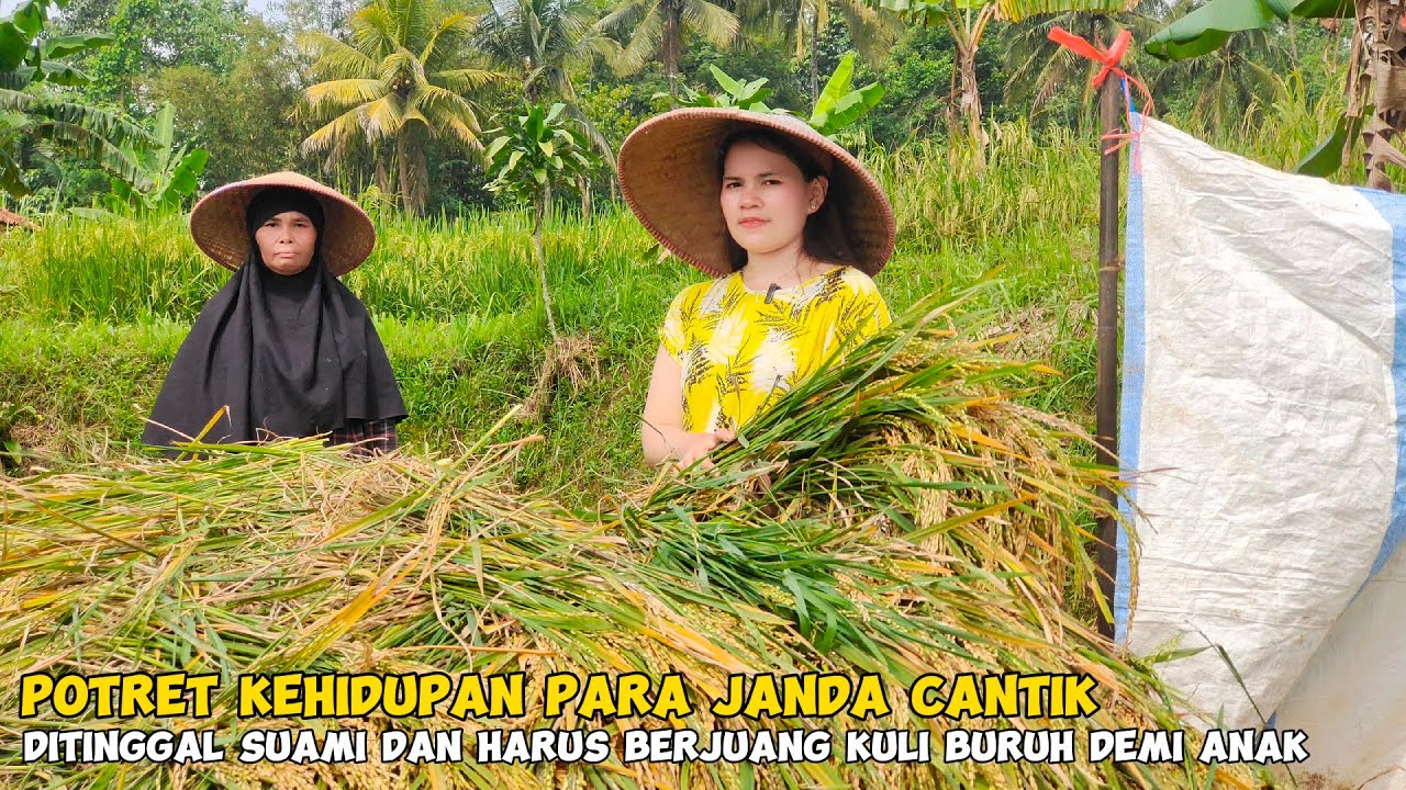INILAH POTRET KEHIDUPAN NENG AMI JANDA DESA CANTIK HARUS RELA KERJA KULI BURUH PADI DEMI ANAK ...