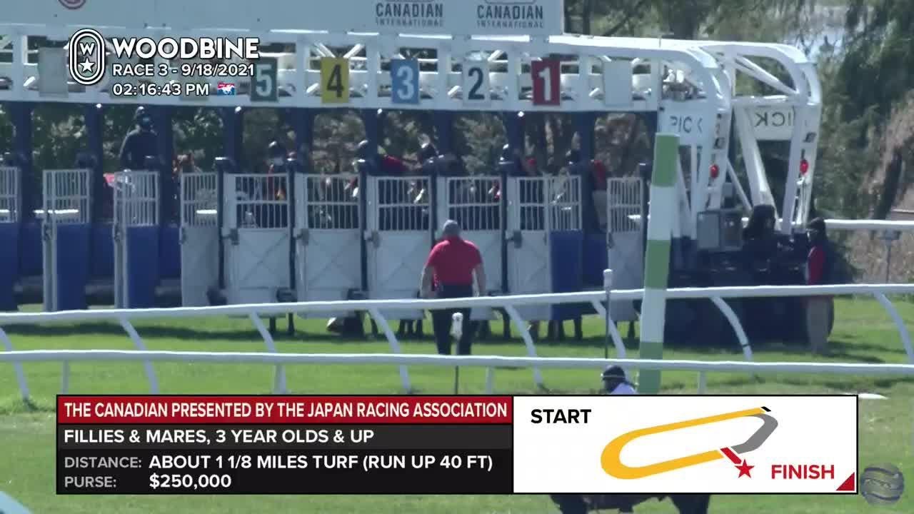 Canadian Stakes G3 - YouTube