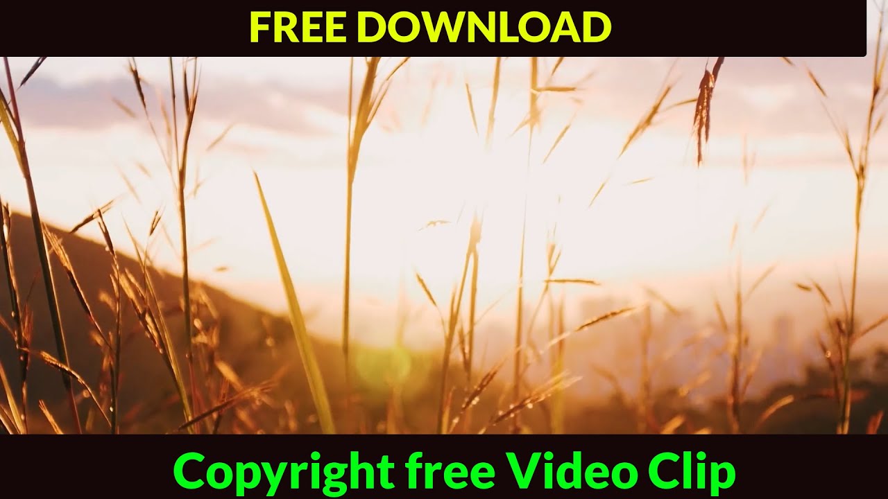 Copyright free Video Clips- Download Use Any Where - YouTube