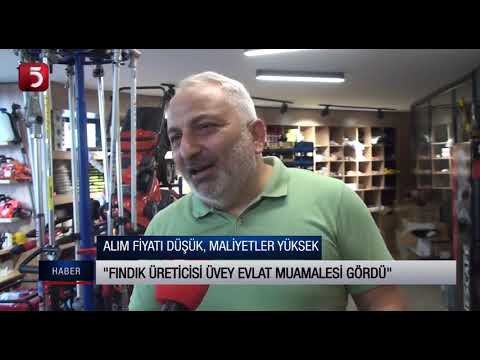 Fındık fiyatları %13 arttı. Fındık üreticileri mağdur oldu.