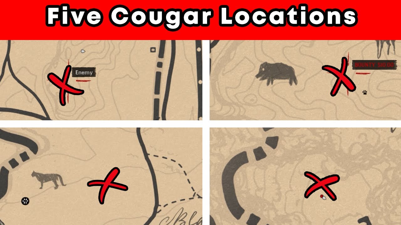 5 Cougar Locations - Master Hunter 6 Challenge: RDR2 EASY Guide - YouTube