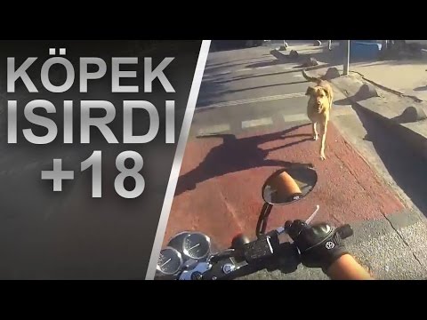 Köpek Isırdı +18 (Küfür İçerir)