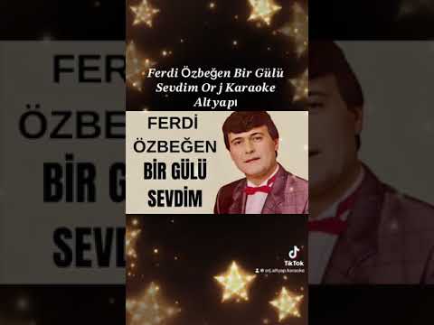 𝑭𝒆𝒓𝒅𝒊 Ö𝒛𝒃𝒆ğ𝒆𝒏 𝑩𝒊𝒓 𝑮𝒖̈𝒍𝒖̈ 𝑺𝒆𝒗𝒅𝒊𝒎 𝑶𝒓𝒋 𝑲𝒂𝒓𝒂𝒐𝒌𝒆