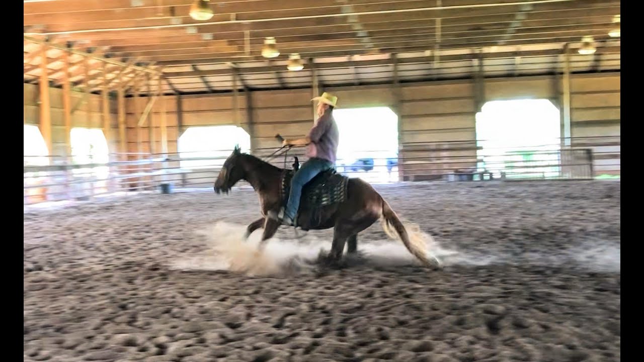 Ima Shiny Pepto Sale Video Preview - YouTube