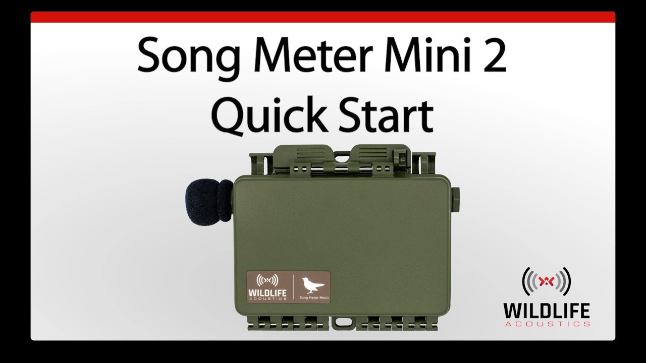 Song Meter Mini 2 Quick Start - YouTube