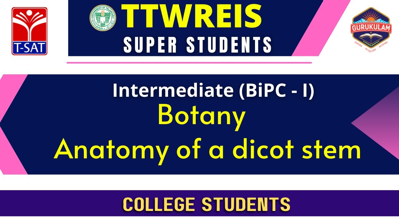 TTWREIS || Super Students|| Intermediate (BiPC-I) || Botany - Anatomy ...