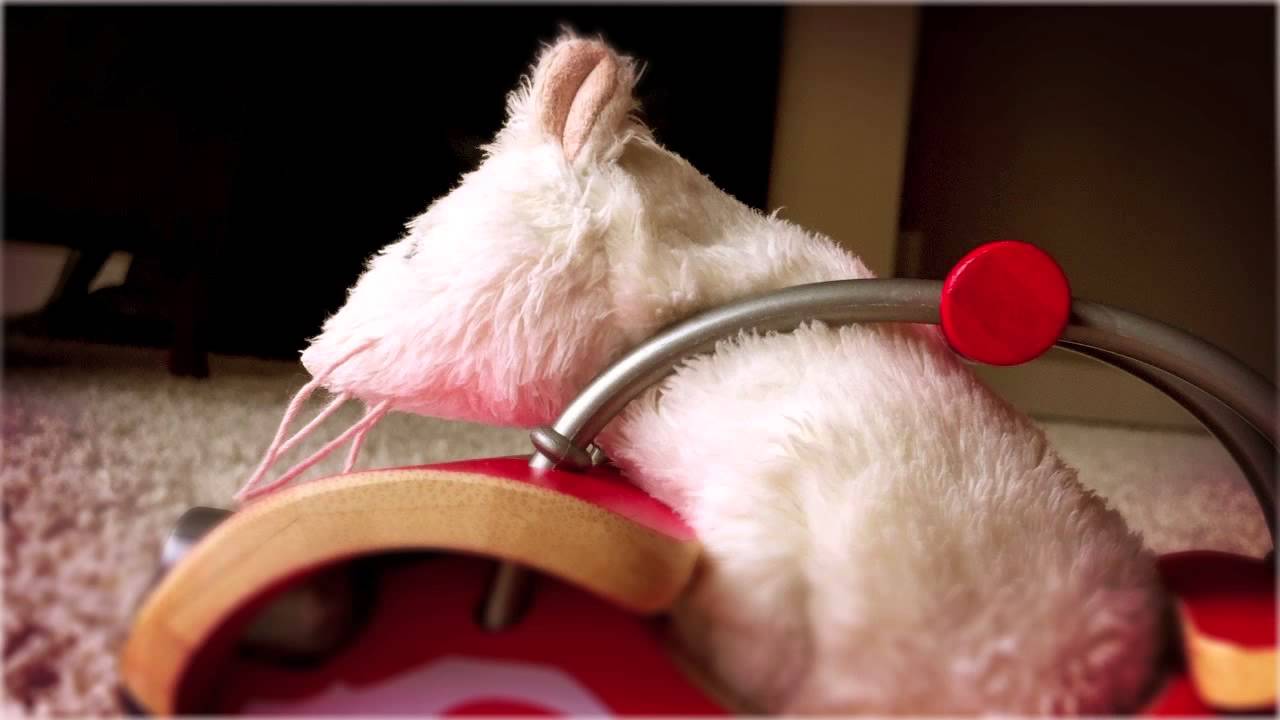 Rat Race stop-motion animation loop - YouTube