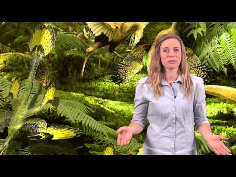 Dinosaur Myth Busted: Flying Dinosaurs