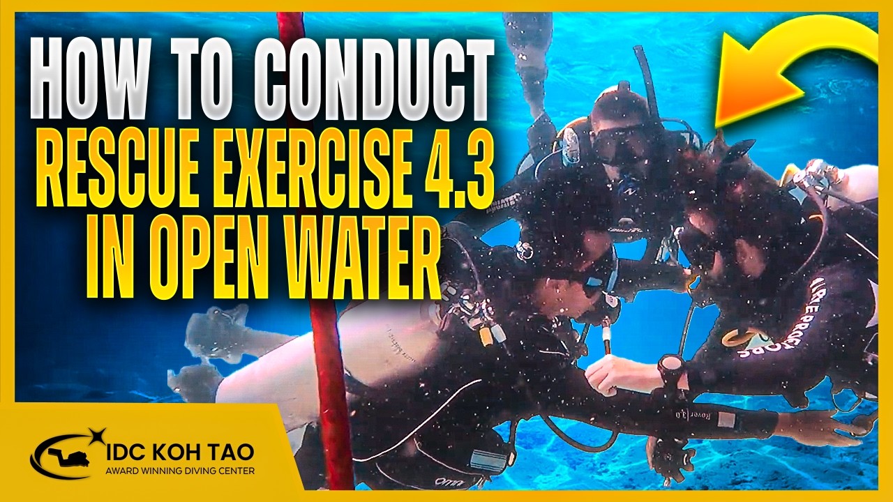 How to Conduct Rescue Exercise 4.3 in Open Water | Distressed Diver ...
