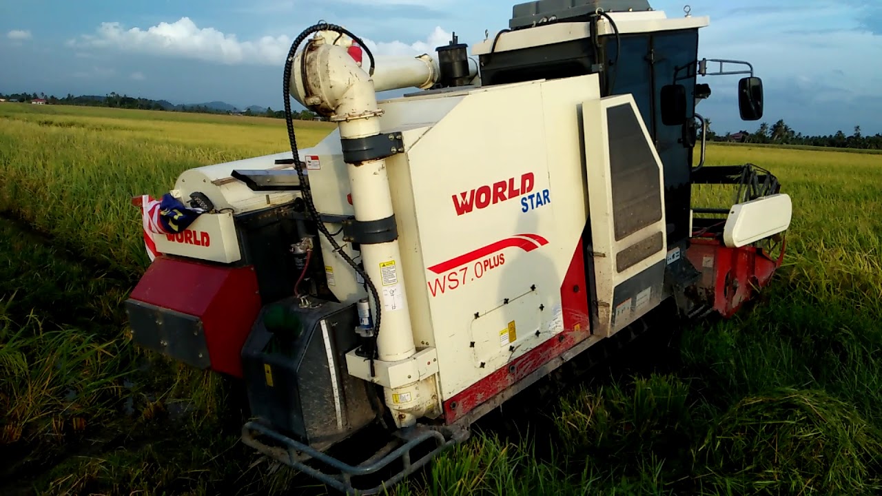 Combine harvester paddy china world star - YouTube