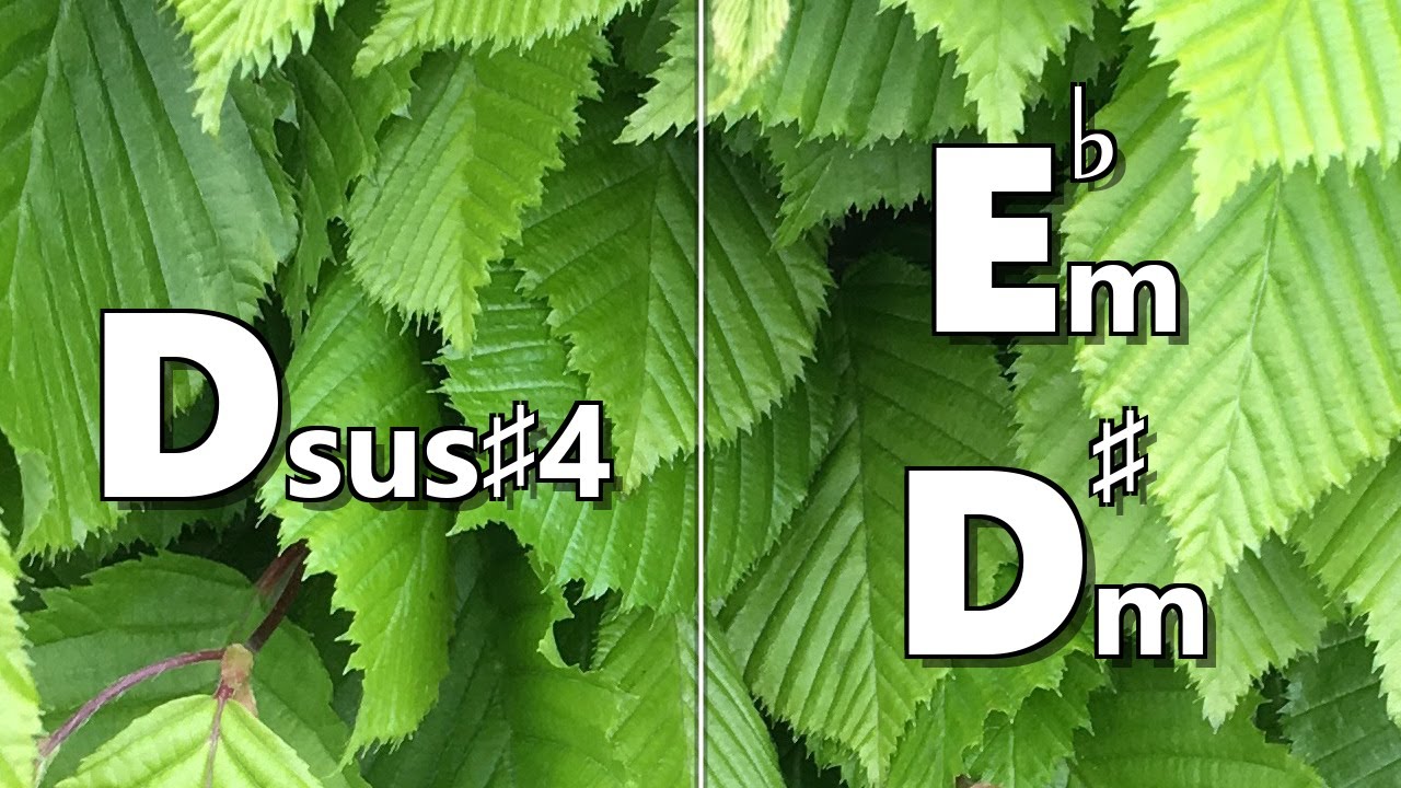 Dsus #4 to Ebm (D#m) Backing Track - YouTube