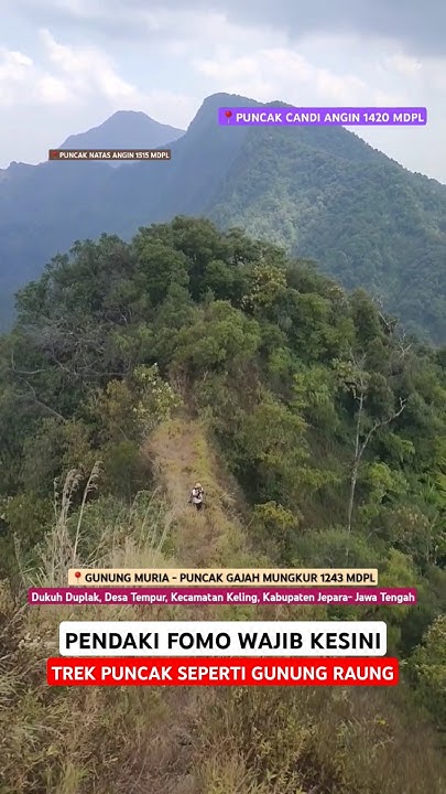 PENDAKI FOMO GUNUNG MURIA PUNCAK GAJAH MUNGKUR GA KALAH SAMA TREK GUNUNG RAUNG CLIMBING - YouTube