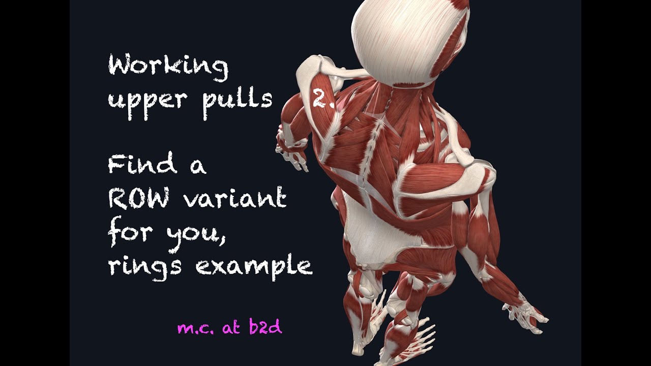 Upper Pull Variants - ROW variants - YouTube