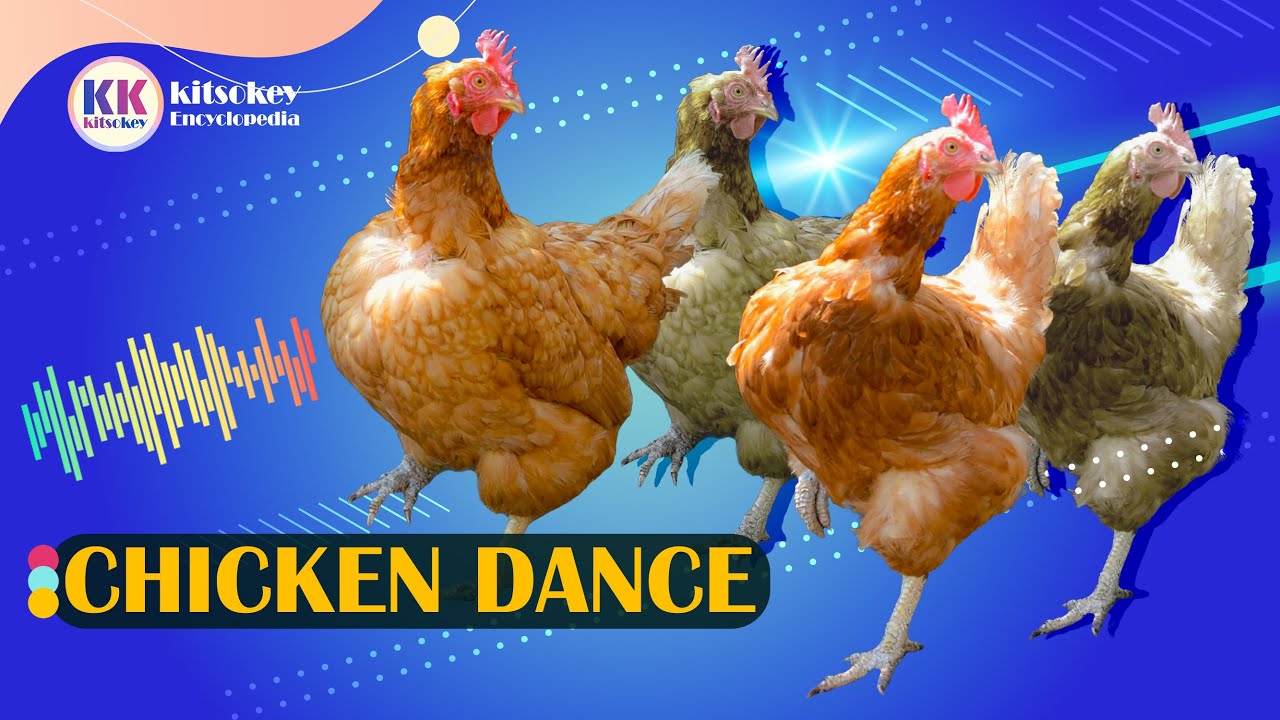 Chicken Disco Gif