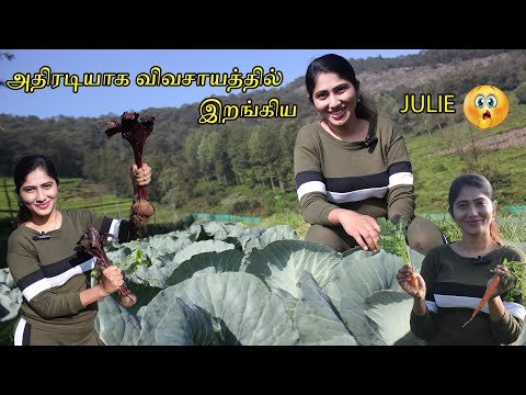 VEGETABLE FARMING IN KOTAGIRI #jollywithjulie #farming #kotagiri #camera #biggboss #trend #viral
