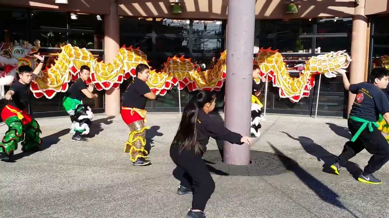 Mak Fai Washington Kung Fu Club - Choy Lay Fut Plum Flower Form ...