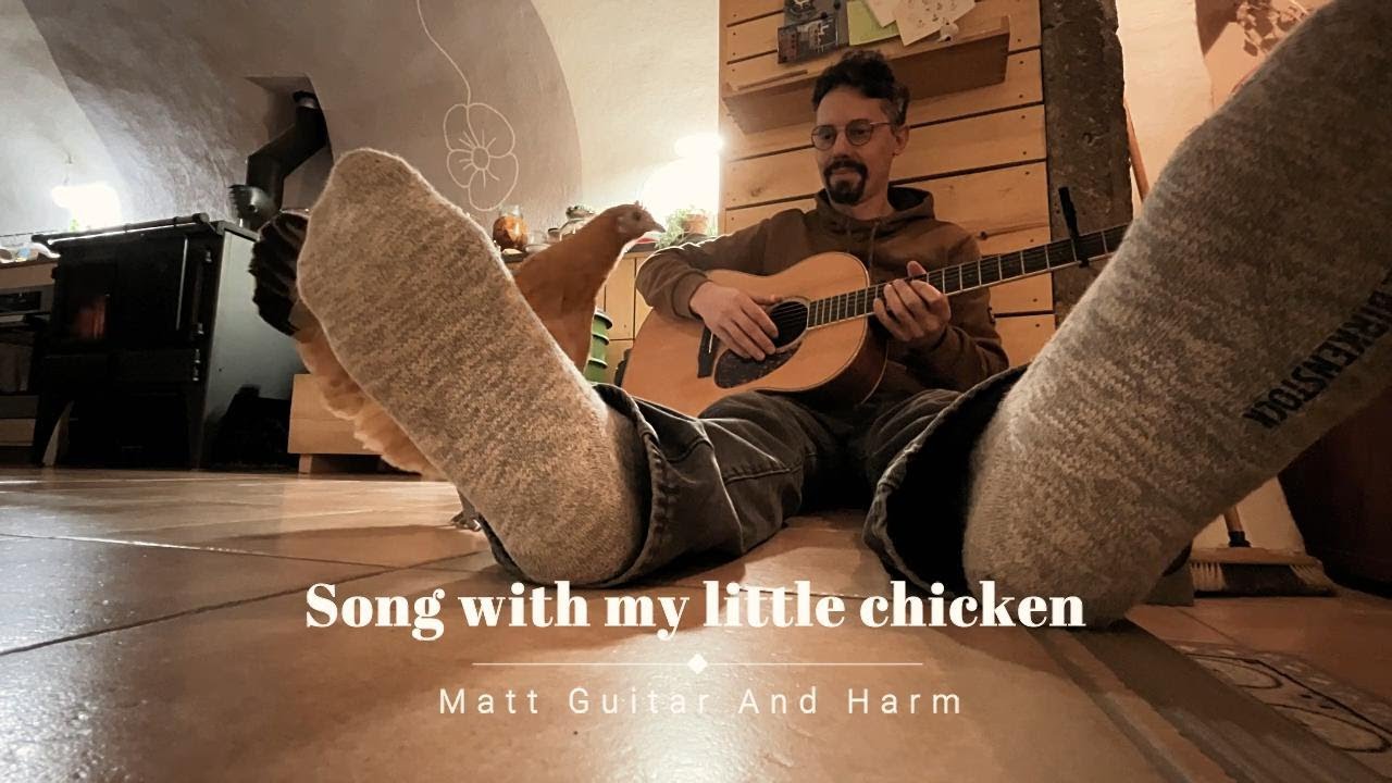 Song with my little chicken - YouTube