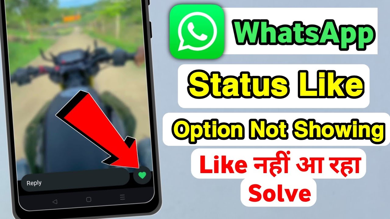 whatsapp status like option not showing | status like option not ...