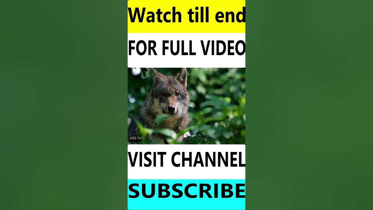 Abc Songs For Kindergarten kids Tv Phonics Song shorts ytshorts abc-songs-for-kindergarten-kids-tv-phonics-song-shorts-ytshorts