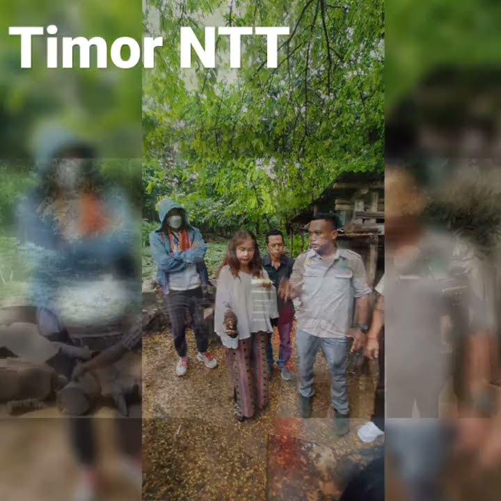 journey in Timor NTT - YouTube
