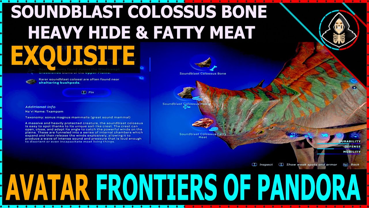Soundblast Colossus Bone, Heavy Hide & Fatty Meat - YouTube