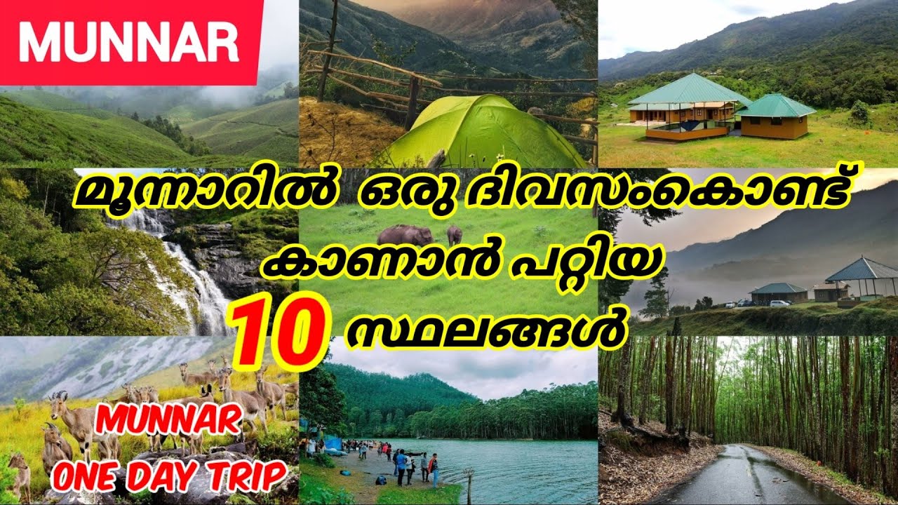 How to plan a munnar trip | Places to visit in munnar | Munnar trip ...