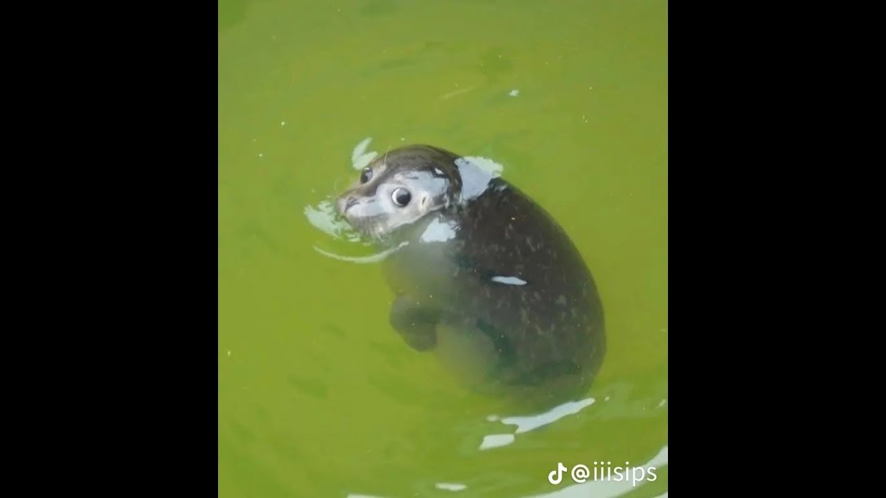 🔴Live Codm grind to 10k points legendary stream - YouTube