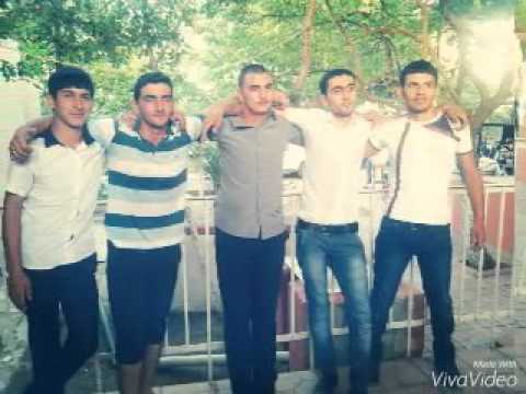 Kosmos usaqlari azik ve elis 055 739 87 02